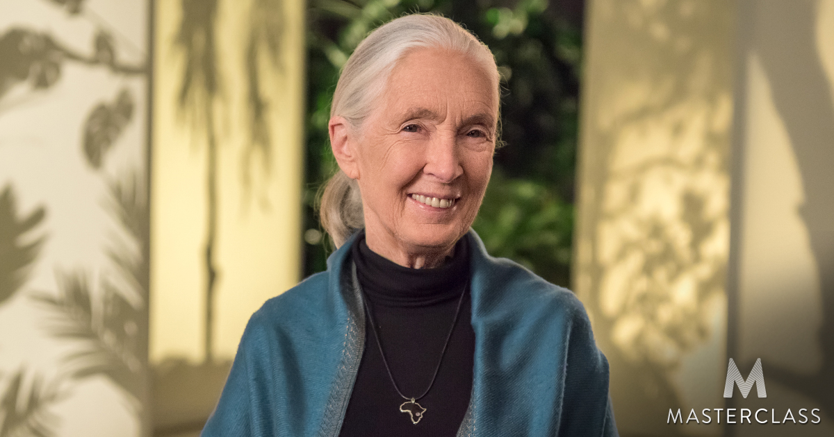 Dr. Jane Goodall Will Teach an Online Course About Conserving Our ...