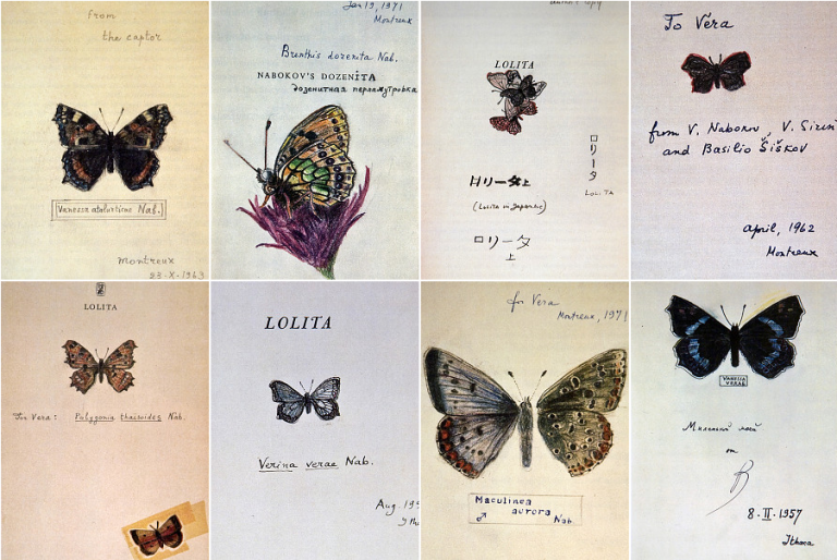 An Animated Look at Vladimir Nabokov's Passion for Butterfly Collecting ...