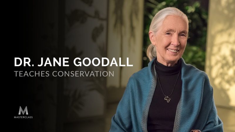 Dr. Jane Goodall Is Now Teaching an Online Course on Conservation ...