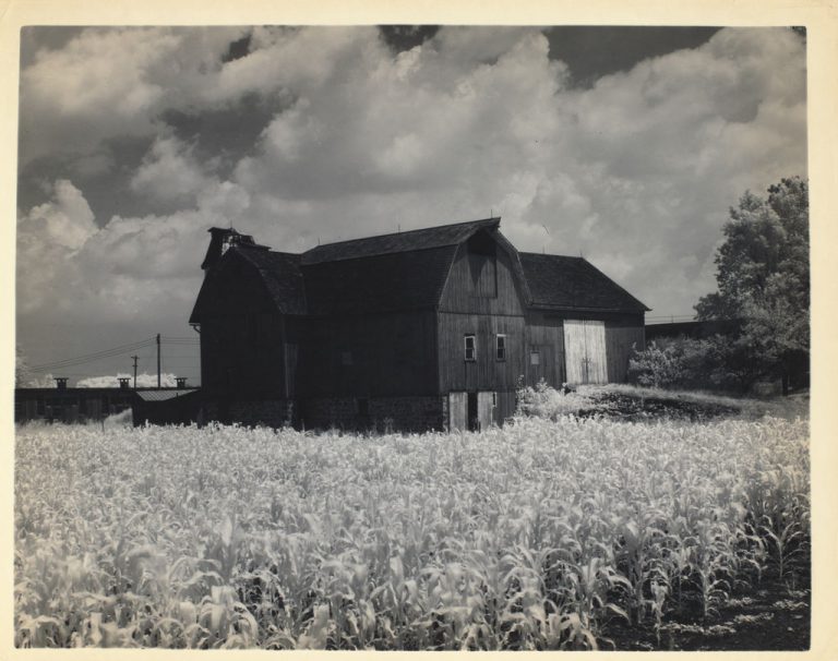 5,000+ Photographs by Minor White, One of the 20th Century's Most ...