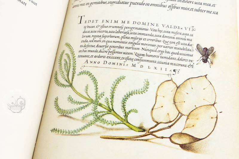 The Model Book of Calligraphy (1561–1596): A Stunningly Detailed ...