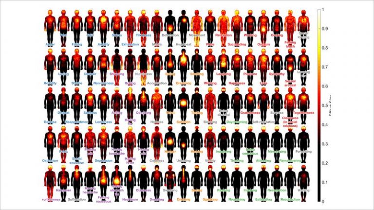Mapping Emotions in the Body: A Finnish Neuroscience Study Reveals ...