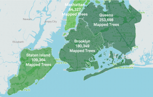 Behold the New York City Street Tree Map: An Interactive Map That ...