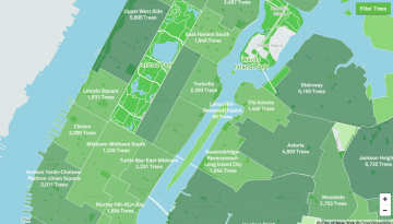 Behold the New York City Street Tree Map: An Interactive Map That ...