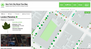 Behold the New York City Street Tree Map: An Interactive Map That ...