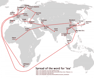 A Map of How the Word "Tea" Spread Across the World | Open Culture