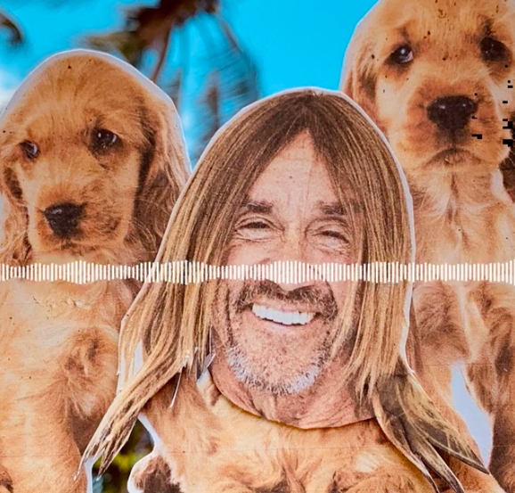 Iggy Pop, David Byrne, and More Come Together with Bedtime Stories (For ...