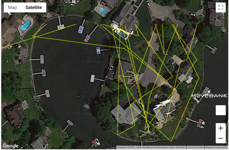 GPS Tracking Reveals the Secret Lives of Outdoor Cats | Open Culture