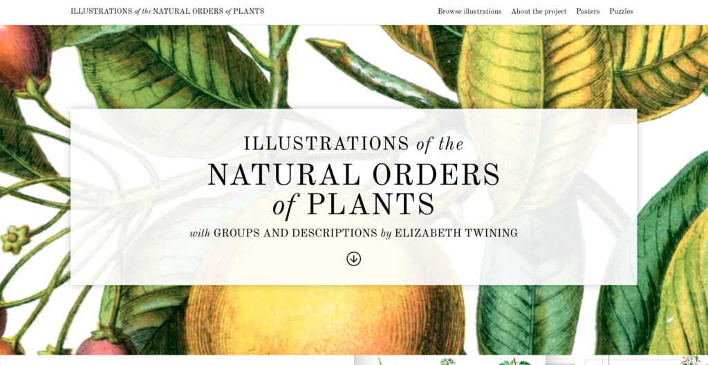 Behold an Interactive Online Edition of Elizabeth Twining's ...