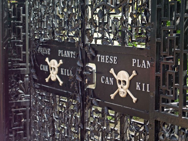 The Deadliest Garden in the World: Visit Alnwick's Poison Garden in ...