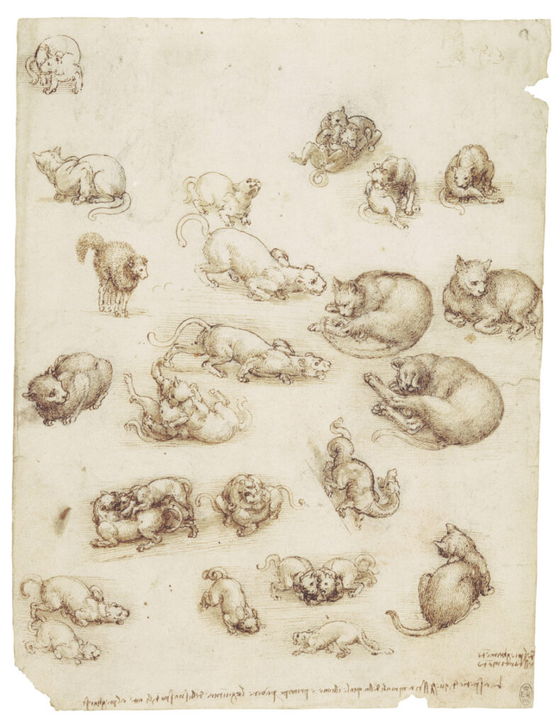 How Leonardo da Vinci Made His Magnificent Drawings Using Only a Metal ...