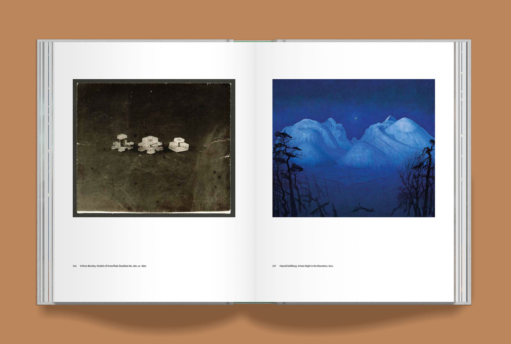 Affinities, a Book of Images to Celebrate 10 Years of The Public Domain ...