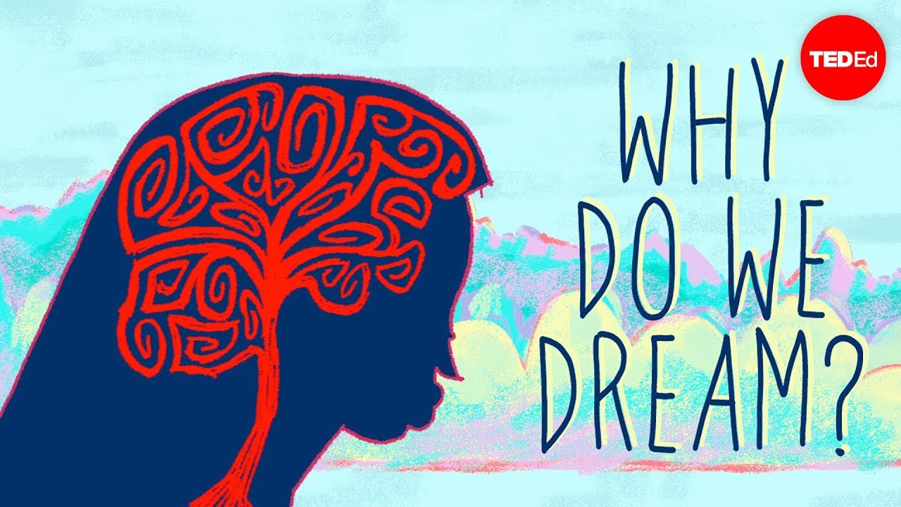 Why Do We Dream?: An Animated Lesson | Open Culture