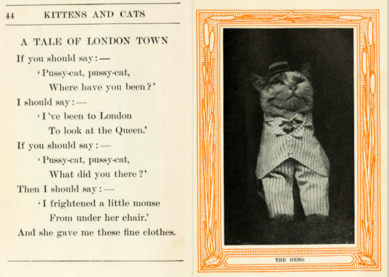 Photography Archives - Open Culture archive | Open Culture