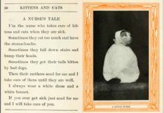 A 110-Year-Old Book Illustrated with Photos of Kittens & Cats Taught ...