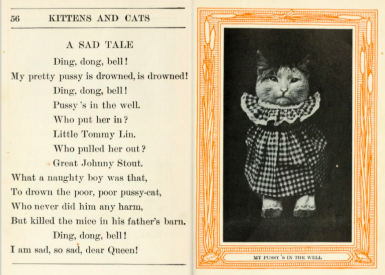 A 110-Year-Old Book Illustrated with Photos of Kittens & Cats Taught ...