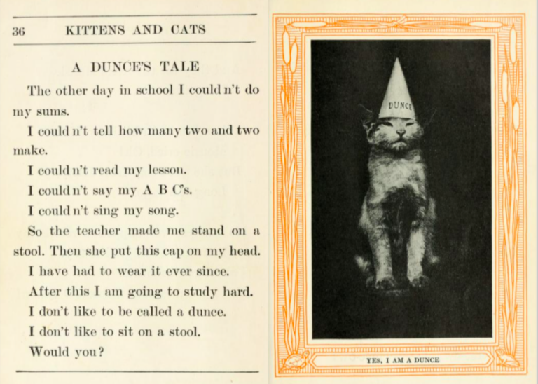 A 110-Year-Old Book Illustrated with Photos of Kittens & Cats Taught ...