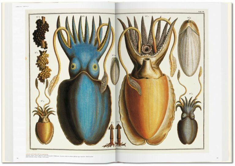 Albertus Seba's Cabinet of Natural Curiosities: Discover One of the ...