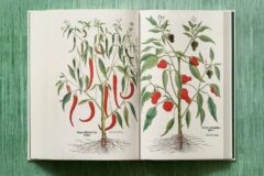 The New Herbal: A Masterpiece of Renaissance Botanical Illustrations ...