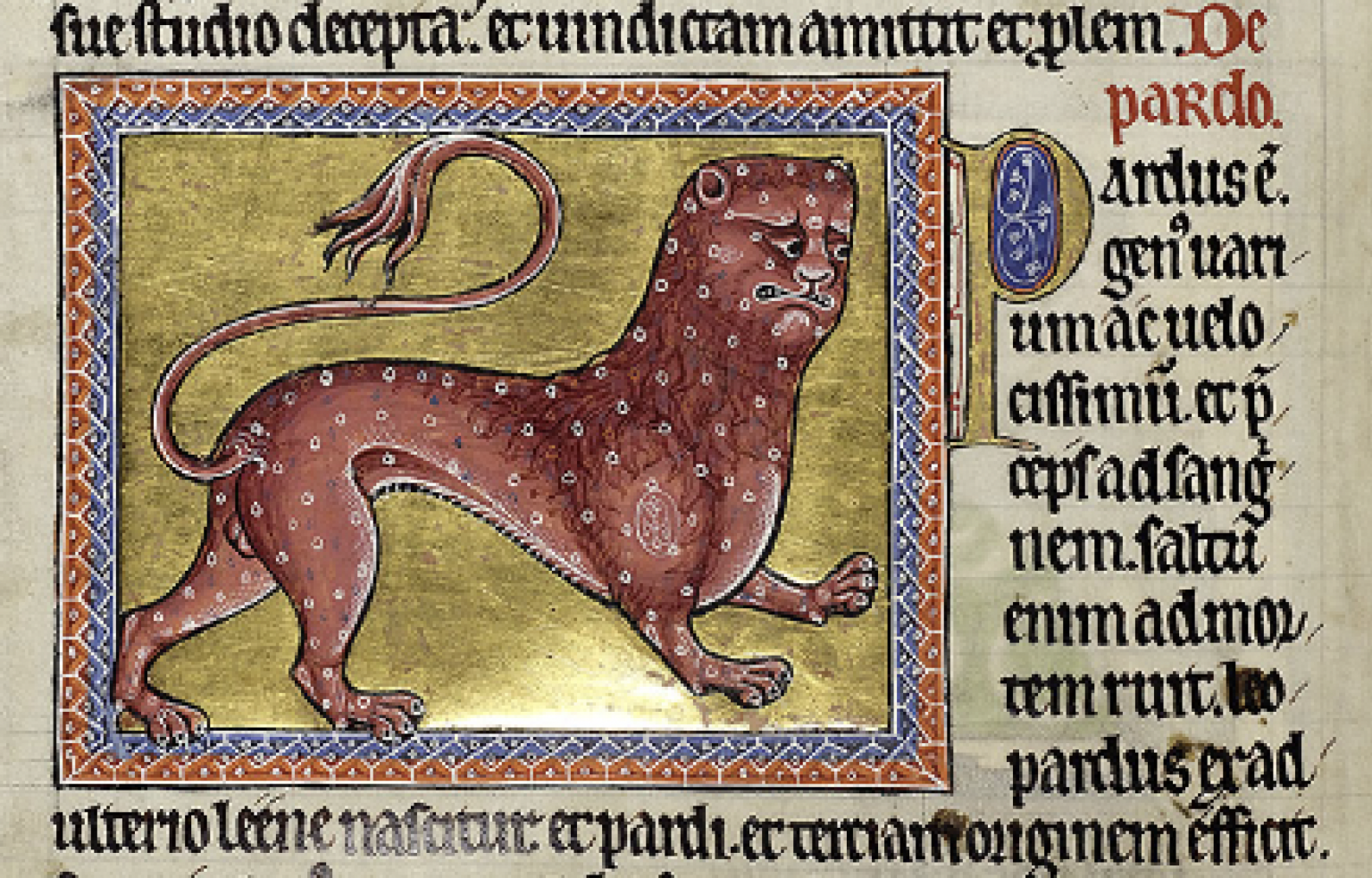 A Field Guide to Strange Medieval Monsters | Open Culture