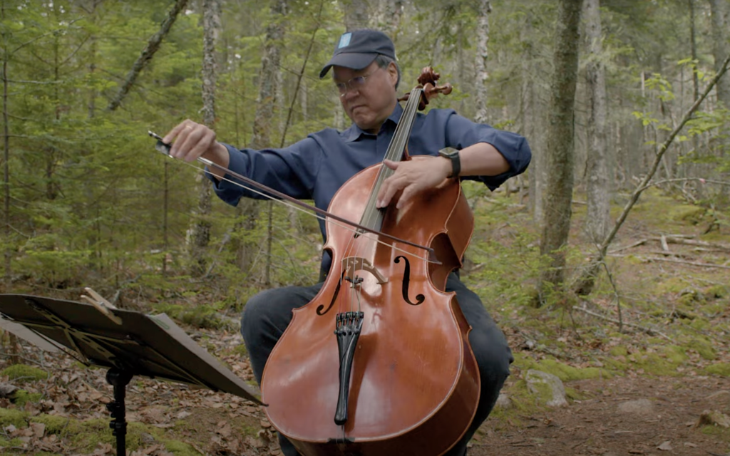 The Birdsong Project Features 220 Musicians, Actors, Artists & Writers ...