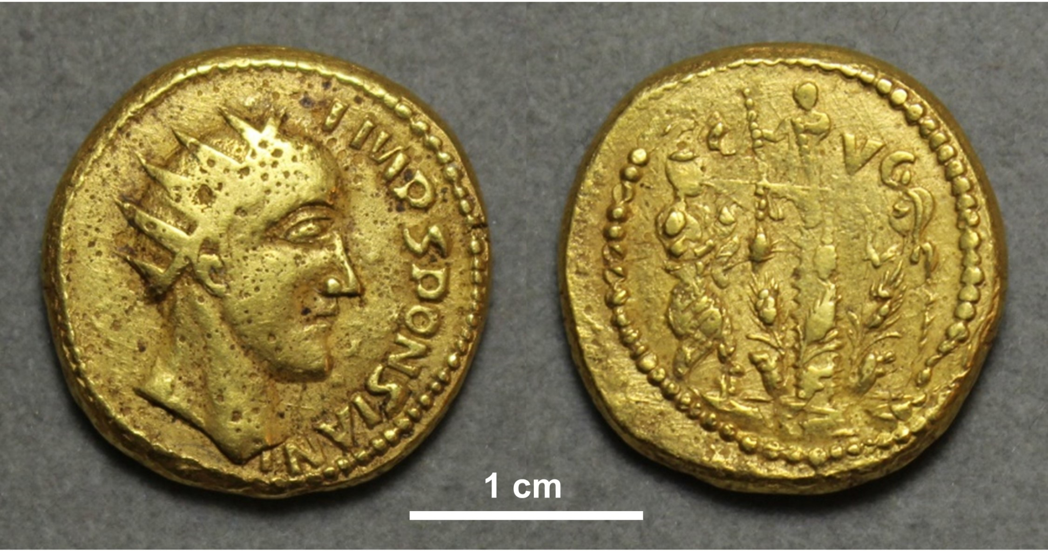 Ancient Roman Coins Reveal the Existence of a Forgotten Roman Emperor ...