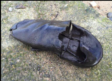 Mudlarking on the Thames: A Treasure Trove of History Washes Ashore ...