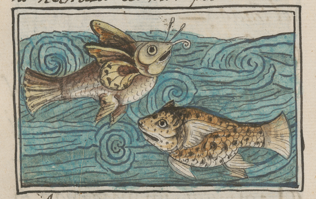 Explore the Florentine Codex: A Brilliant 16th Century Manuscript ...