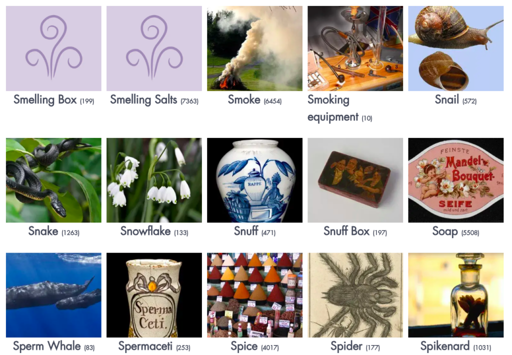 A New Database Captures the Smells of European History, from 16th ...