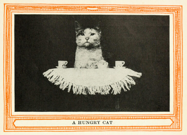 Explore the Newly-Launched Public Domain Image Archive with 10,000 ...