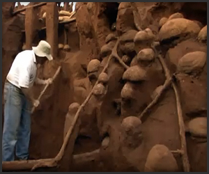 The Archaeology of an Ant Colony | Open Culture