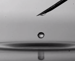 Watch a Water Droplet Bounce (That's Right, Bounce) in Super Slow ...