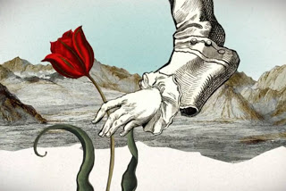 An Animated History of the Tulip | Open Culture