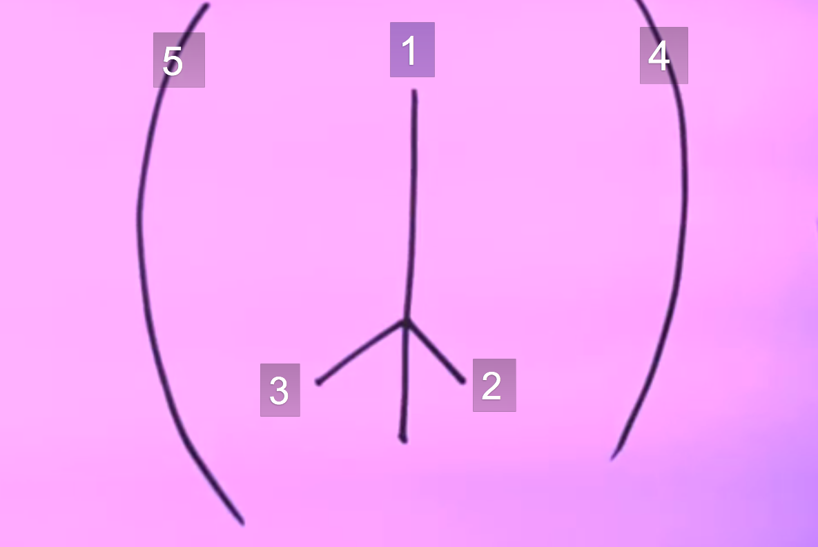 Learn to Draw Butts with Just Five Simple Lines | Open Culture