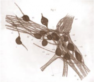 Sigmund Freud's Psychoanalytic Drawings Show How He First Visualized ...
