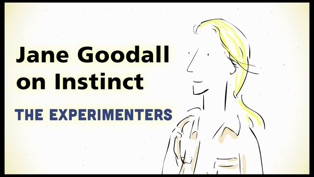 Animated: The Inspirational Story of Jane Goodall, and Why She Believes ...