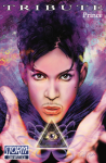 The Life of Prince in a 24-Page Comic Book: A New Release | Open Culture